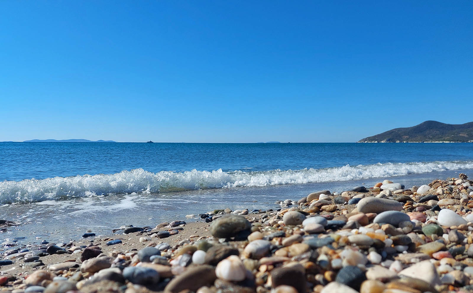 Metaxa auf Samos - KULINARIKER